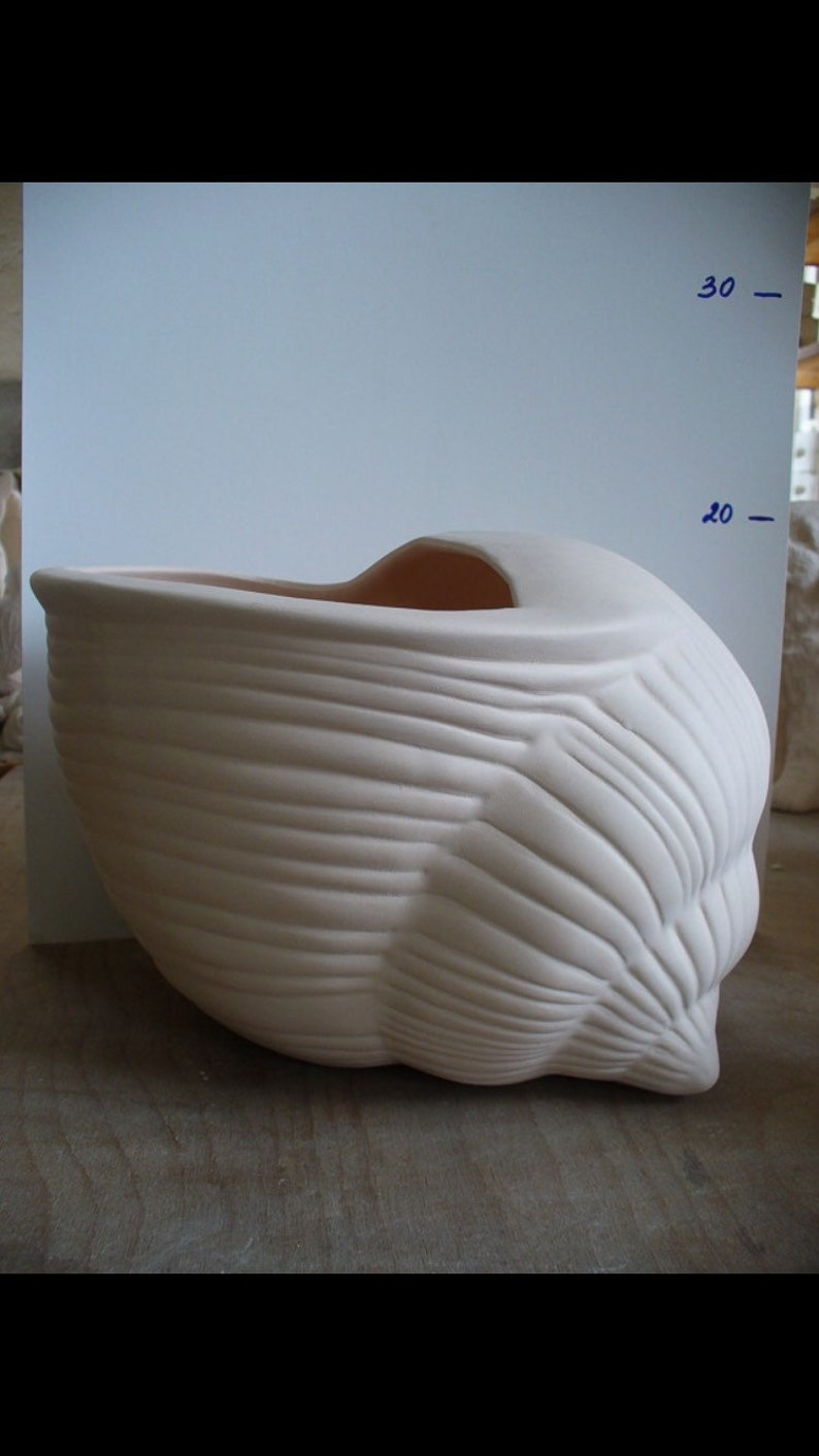 Shell Planter Ready to Paint Ceramic Bisque Ceramic - Etsy