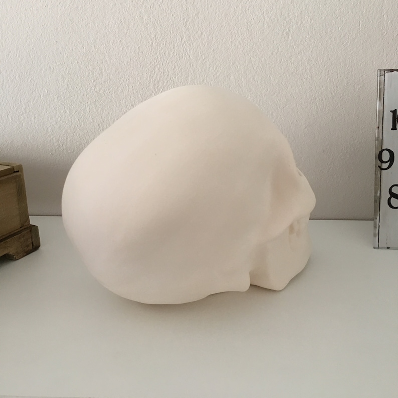 Human Skull Ceramic Skull Unfinished Skull Ready to Paint | Etsy