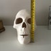 Human Skull, Ceramic Skull, Unfinished Skull, Ready to Paint, Ceramic ...