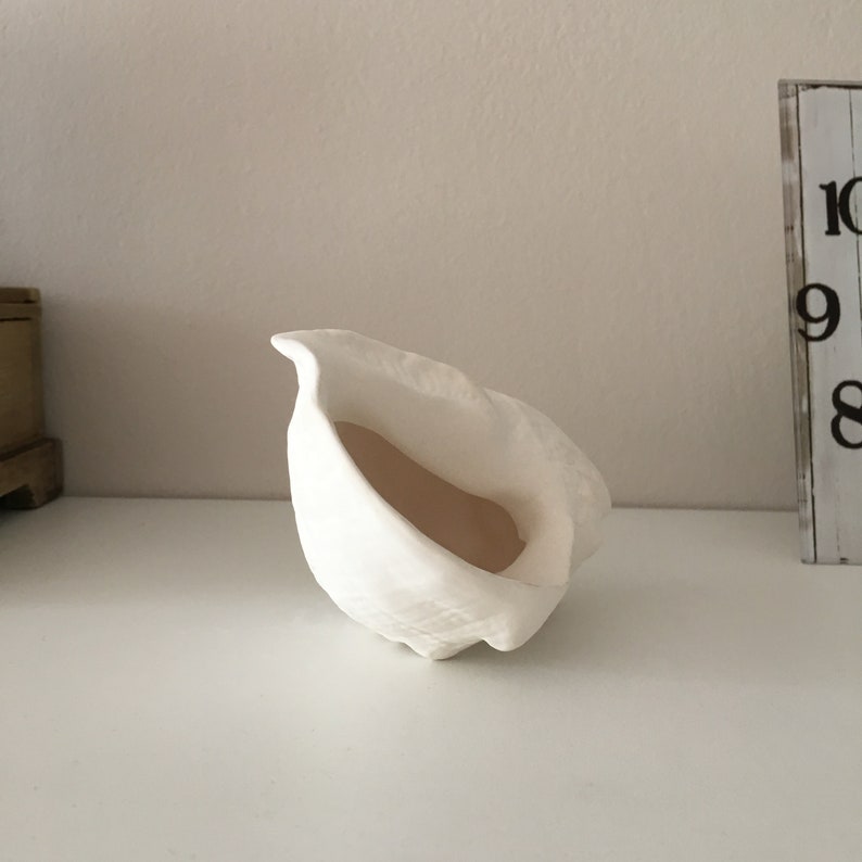 Ceramic Clam Shell Ready to Paint Ceramic Bisque Shell - Etsy