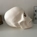 Human Skull, Ceramic Skull, Unfinished Skull, Ready to Paint, Ceramic ...