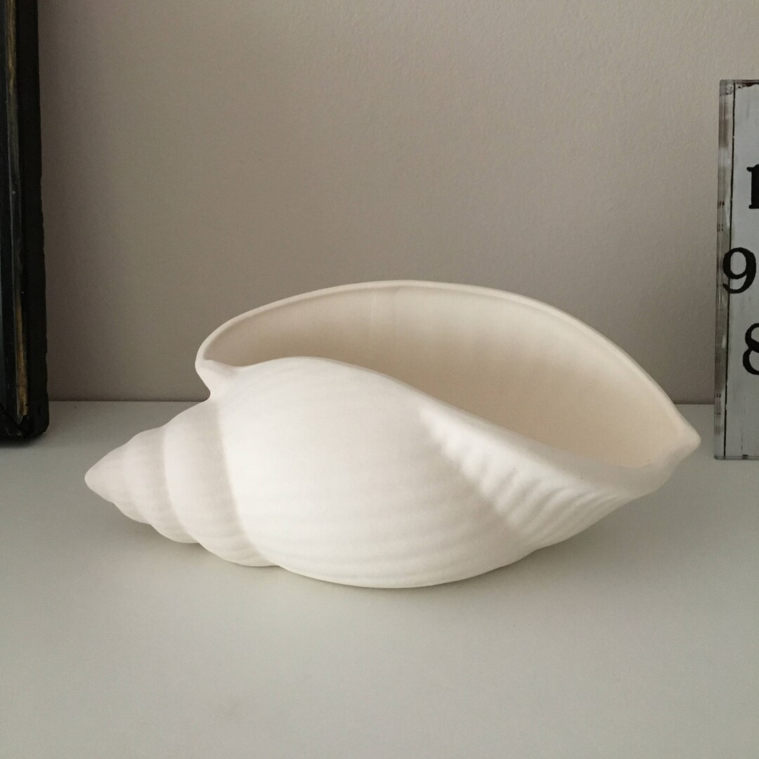 Handmade Ceramic Shell Planter, Ready to Paint, Sea Shell, Ceramic ...