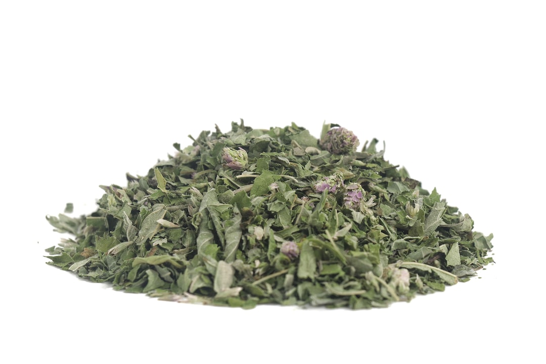 Purple Giant Hyssop, Dried Agastache Scrophulariaefolia Sustainable USA ...