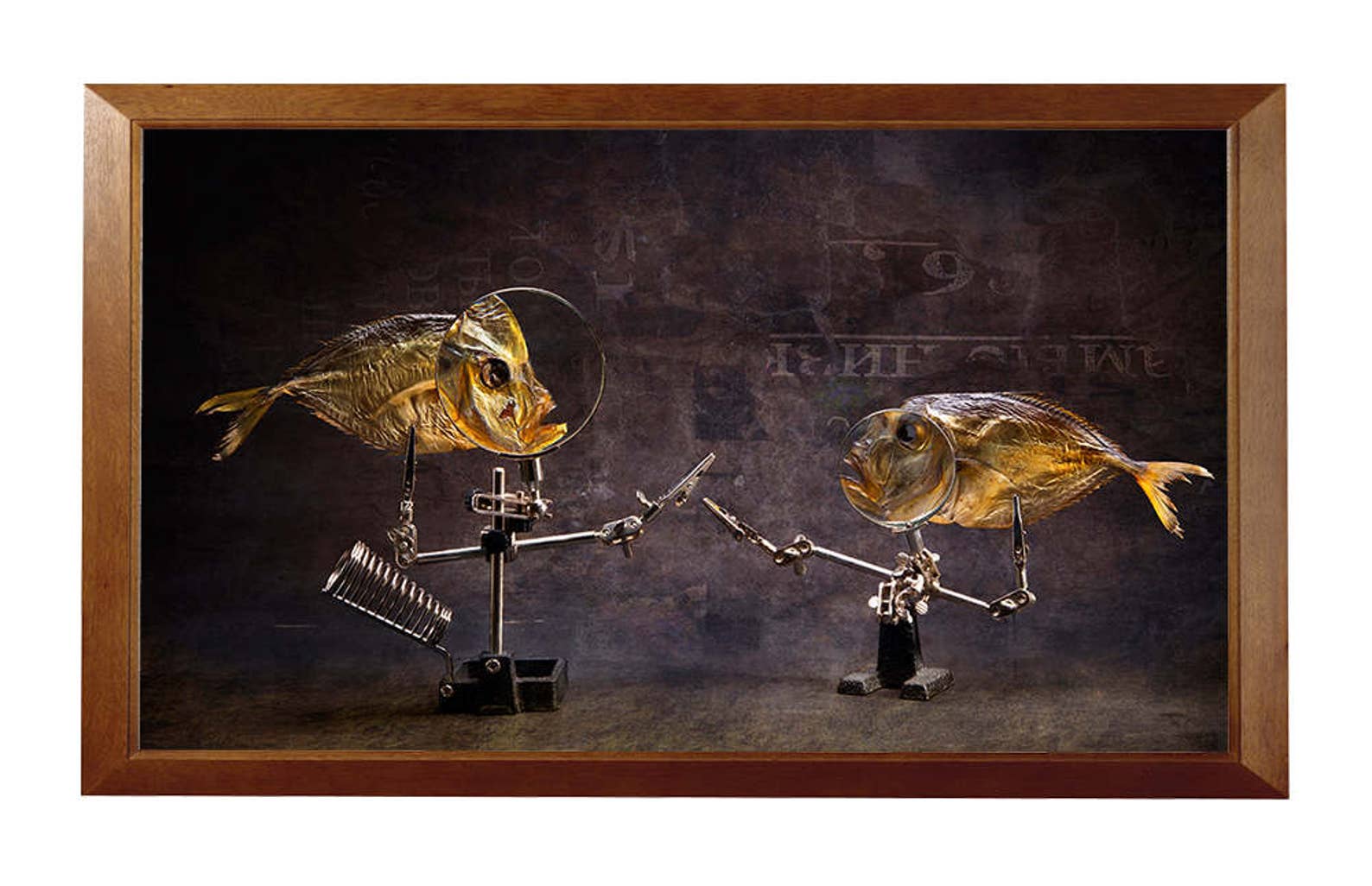 Fish Surrealism Dialog Photography Download Digital Photo Color ...