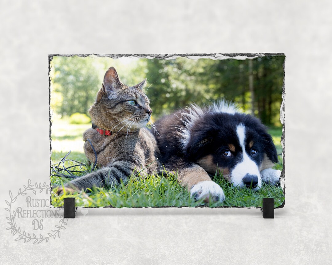 PET Photo Rock Slate Dog Memorial Stone Cat Sympathy Gift - Etsy
