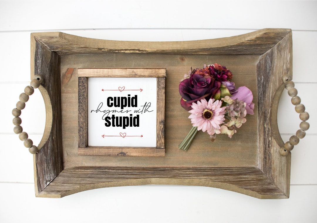 Funny Valentine Sign, Cupid Rhymes With Stupid, Galentines Gift Ideas ...