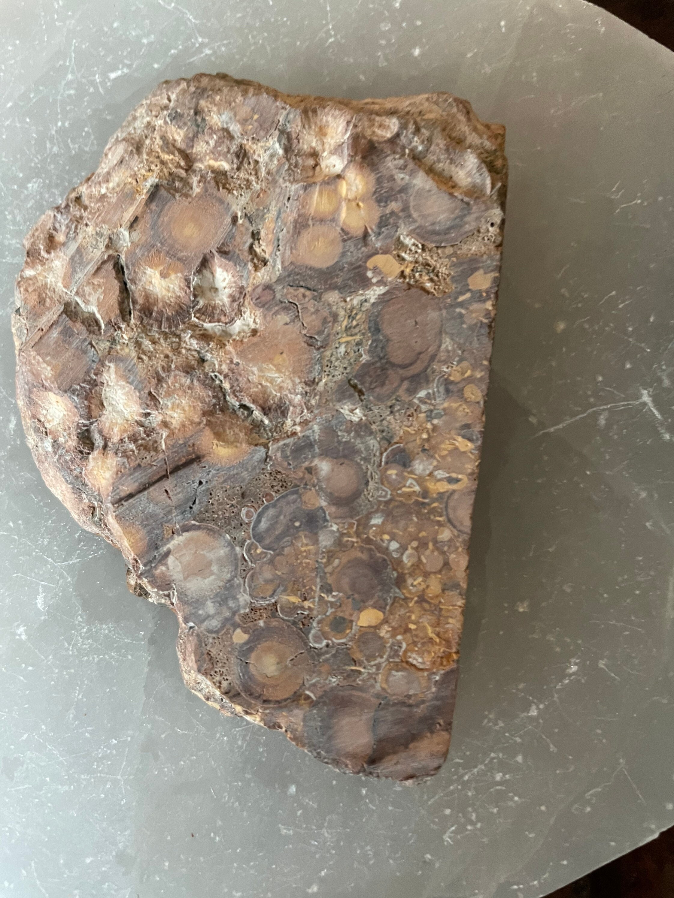 Birds Eye Rhyolite Slab | Etsy