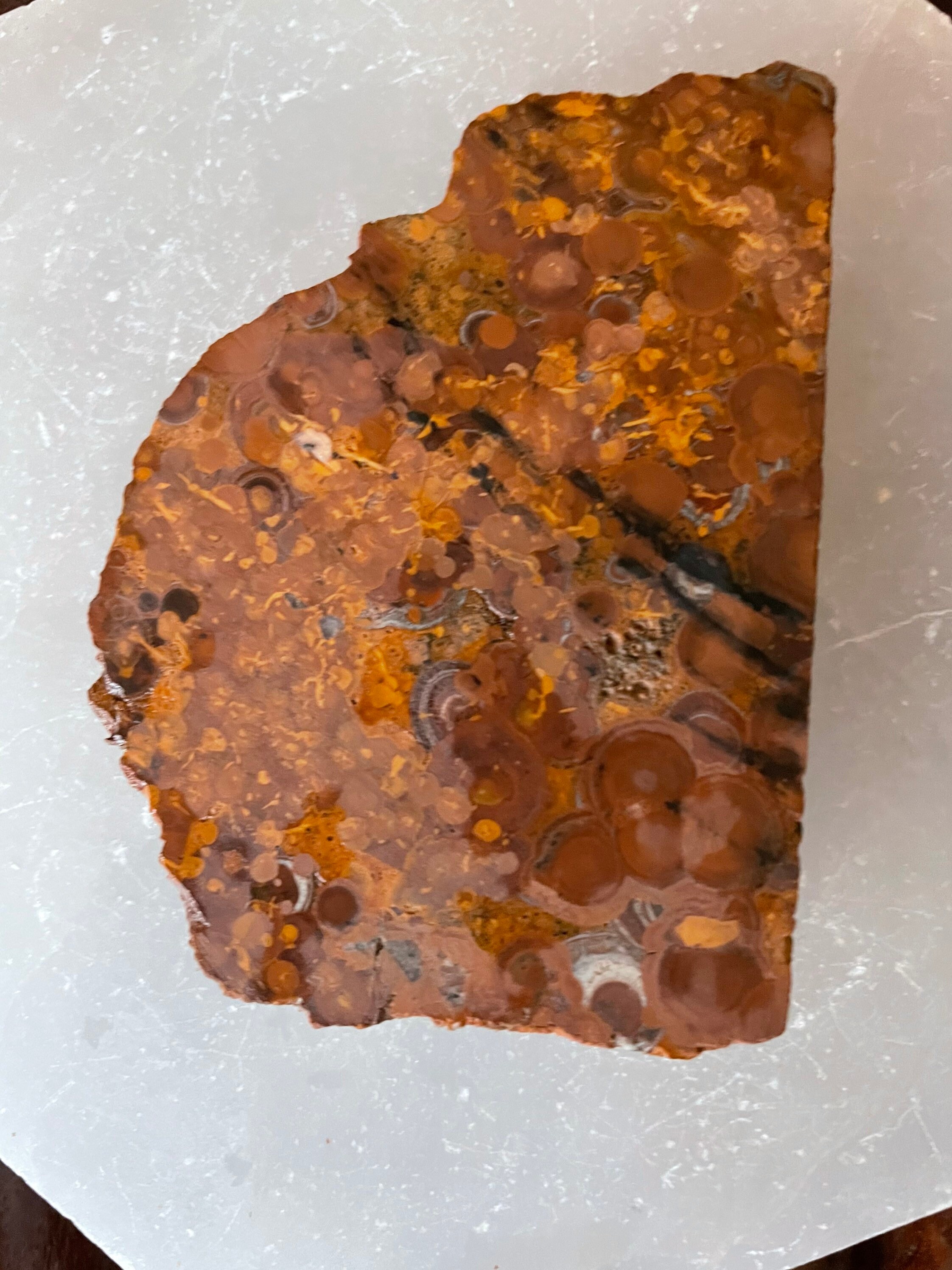 Birds Eye Rhyolite Slab | Etsy