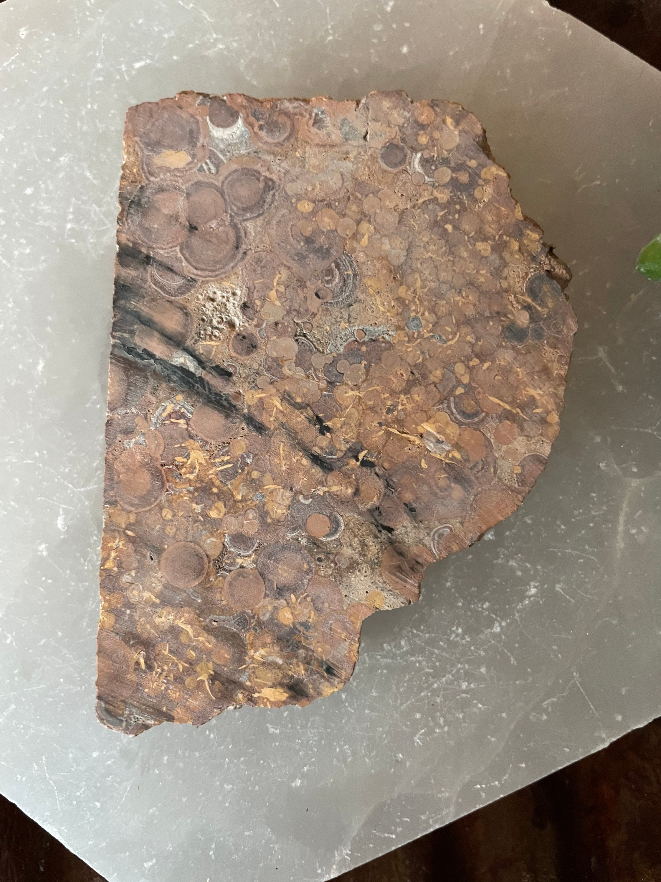 Birds Eye Rhyolite Slab | Etsy