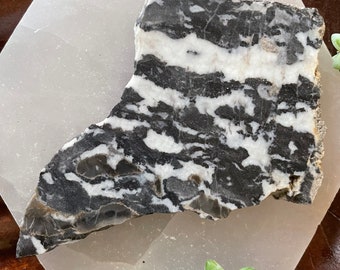 Zebra Marble | Etsy