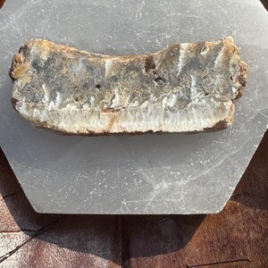 Graveyard Point Plume Agate Slab - Etsy