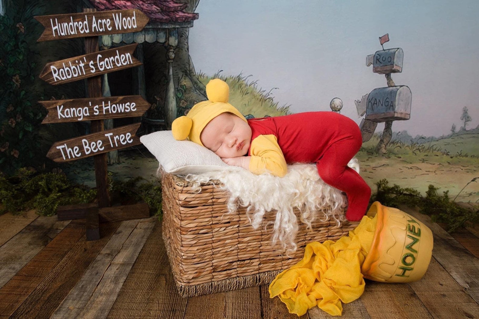 Honey Bear Sitter Bear Outfit Bear Photo Props Newborn Bear - Etsy