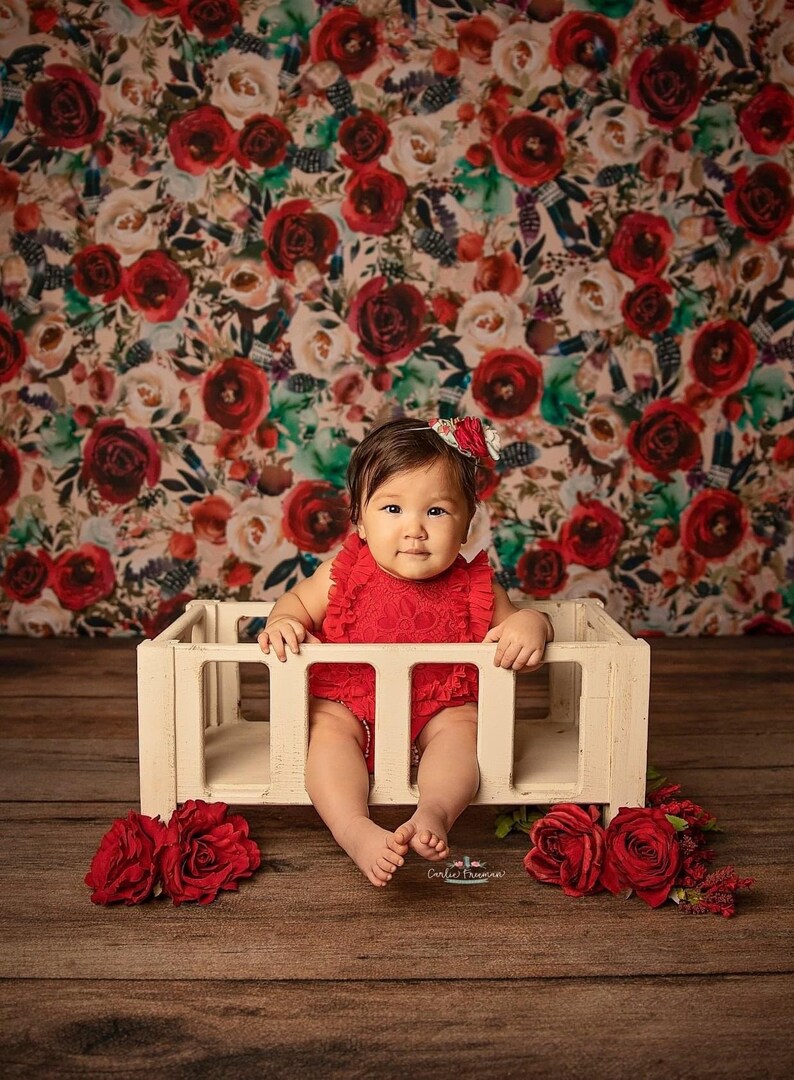 Celine Red Sitter Outfit Holiday-themed Sitter Outfit - Etsy