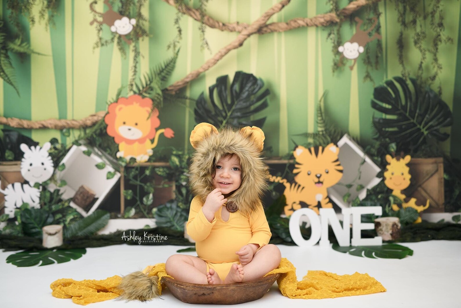 Little Lion Romper- Lion Photo Props, Sitter Photo Props - Etsy