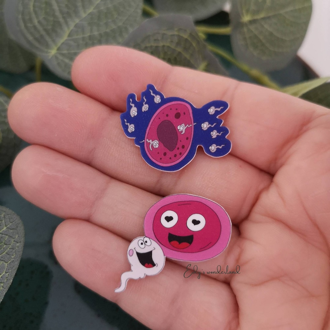 Pin Fertility Egg Sperm Labor And Delivery Brooch Etsy 