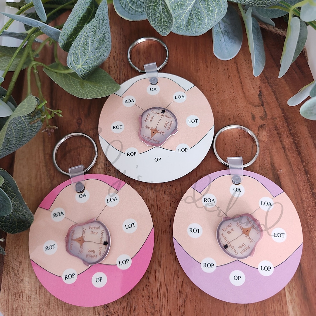 Position Wheel (MDF Diameter 7cm) With Ring Holder for Midwife, Student ...