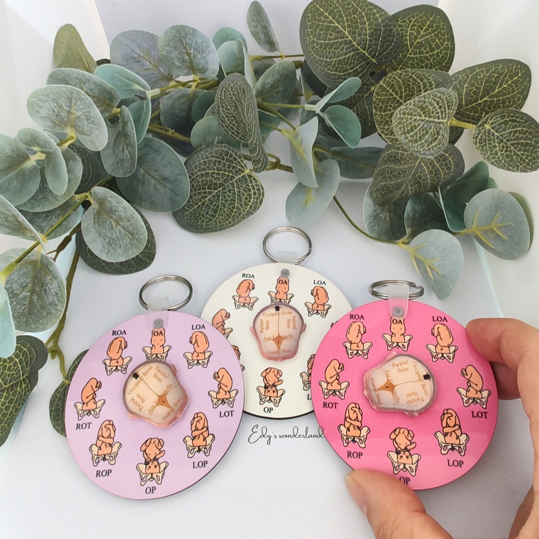 Position Wheel (diameter 7cm) With Ring Holder for Midwife, Student ...