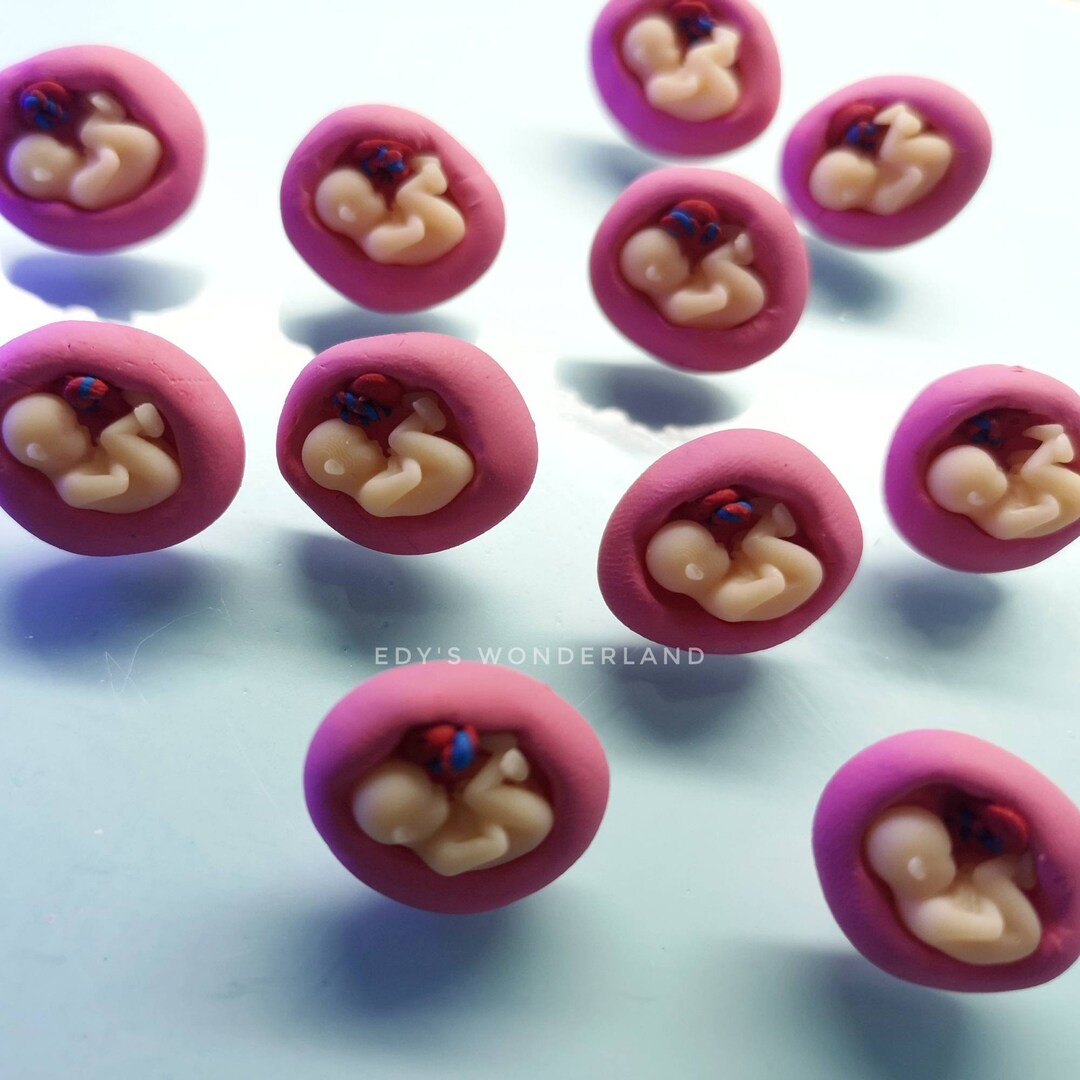 Pin Polymer Clay Baby in the Womb and Placenta: Brooch Miniature Womb, Midwife Doula Gift. - Etsy UK