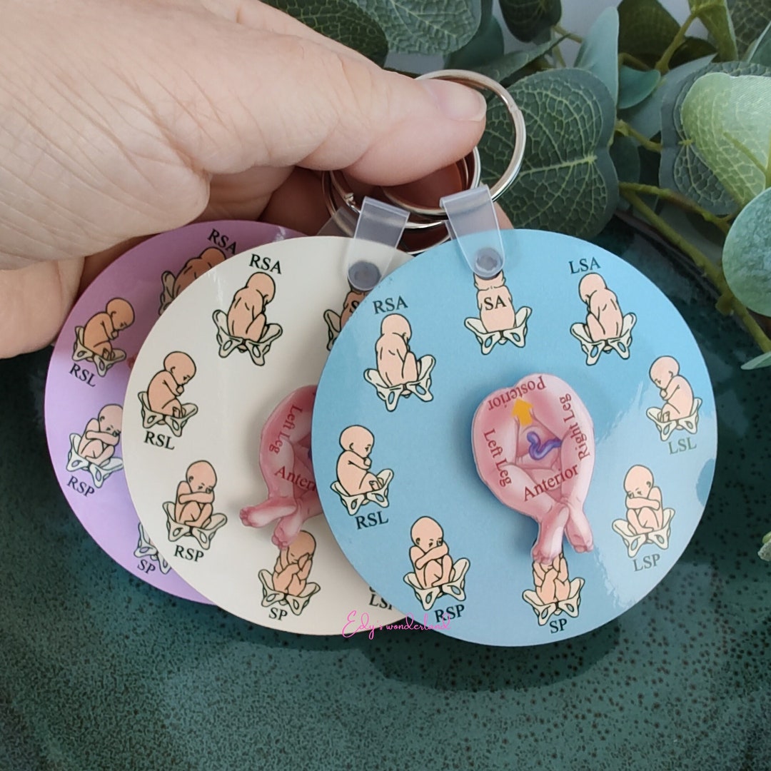 BREECH Foetal Position Wheel (MDF Diameter 7cm) With Ring Holder for ...