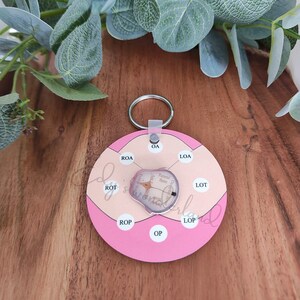 Position Wheel (MDF Diameter 7cm) With Ring Holder for Midwife, Student ...