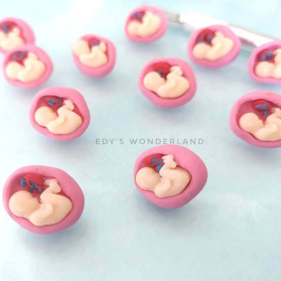 Pin Miniature Baby in the Womb and Placenta Polymer Clay | Etsy