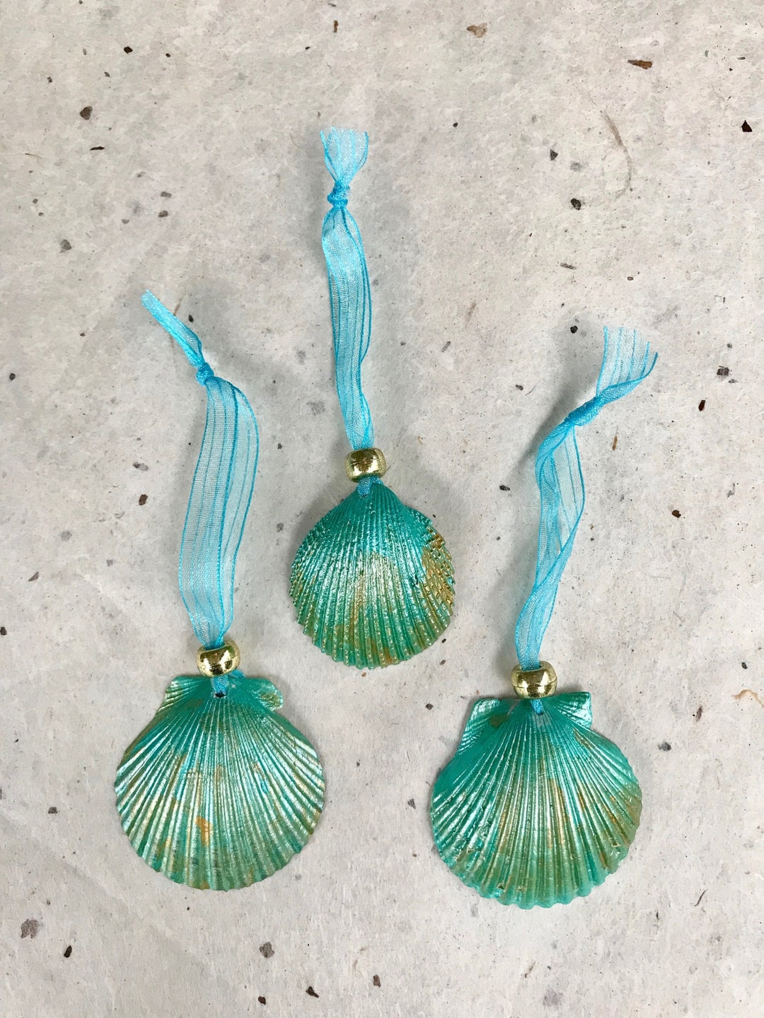Hand Painted Sea Shell, Siesta Key Shells, Siesta Key Ornaments, Shell ...