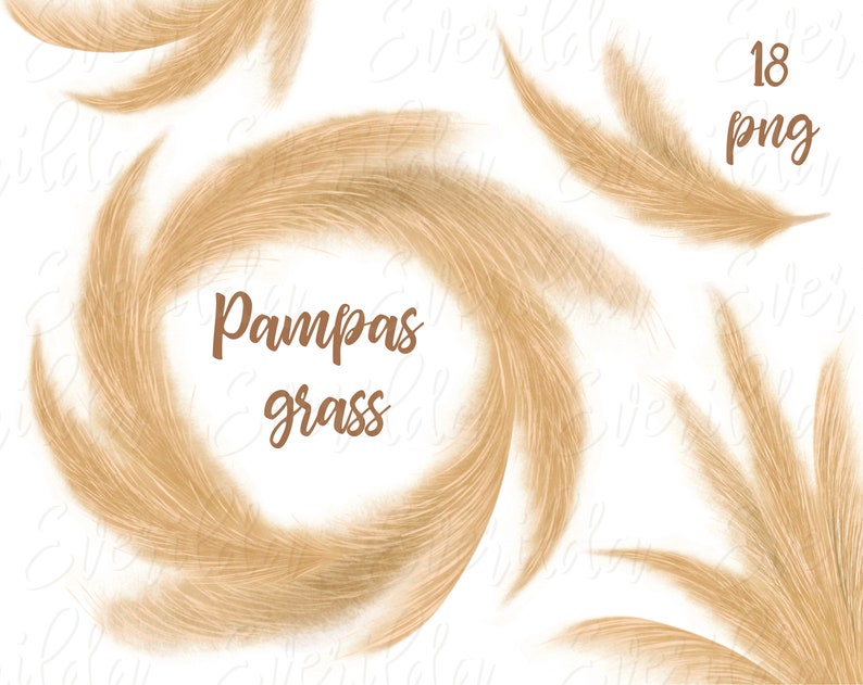 Pampas Grass Clipart Boho Style Bohemian Wedding Frame Wreath Png ...