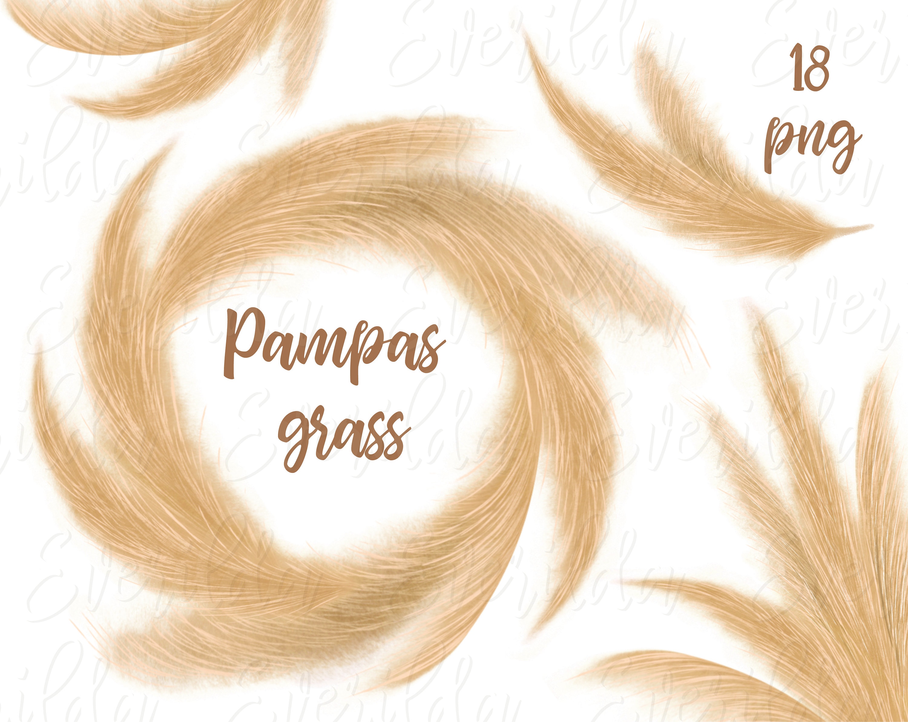 Pampas Grass Clipart Boho Style Bohemian Wedding Frame Wreath Png ...