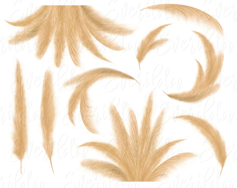 Pampas Grass Clipart Boho Style Bohemian Wedding Frame Wreath Png ...