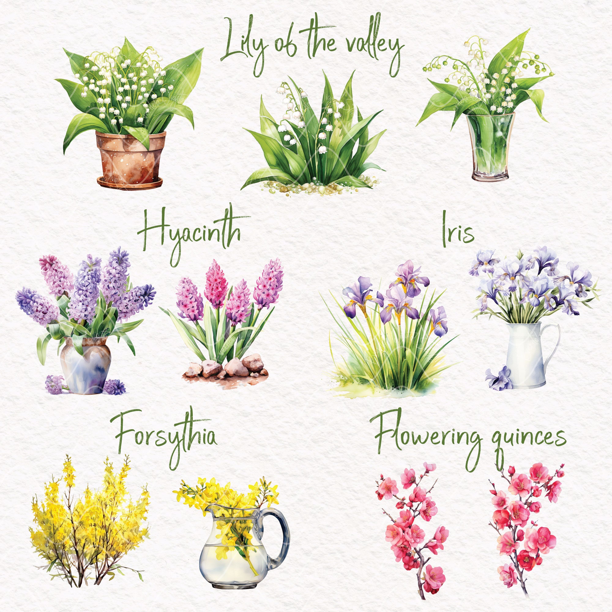 Spring Garden Png-watercolor Springtime Clipart-garden Flowers Png ...
