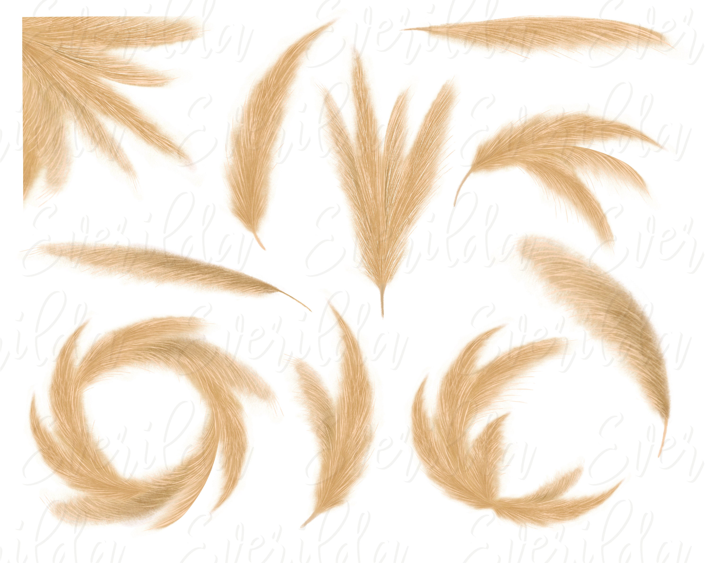Pampas Grass Clipart Boho Style Bohemian Wedding Frame Wreath Png ...