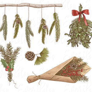 Winter Greenery Clipart, Christmas Botanical Elements, Pinecone ...