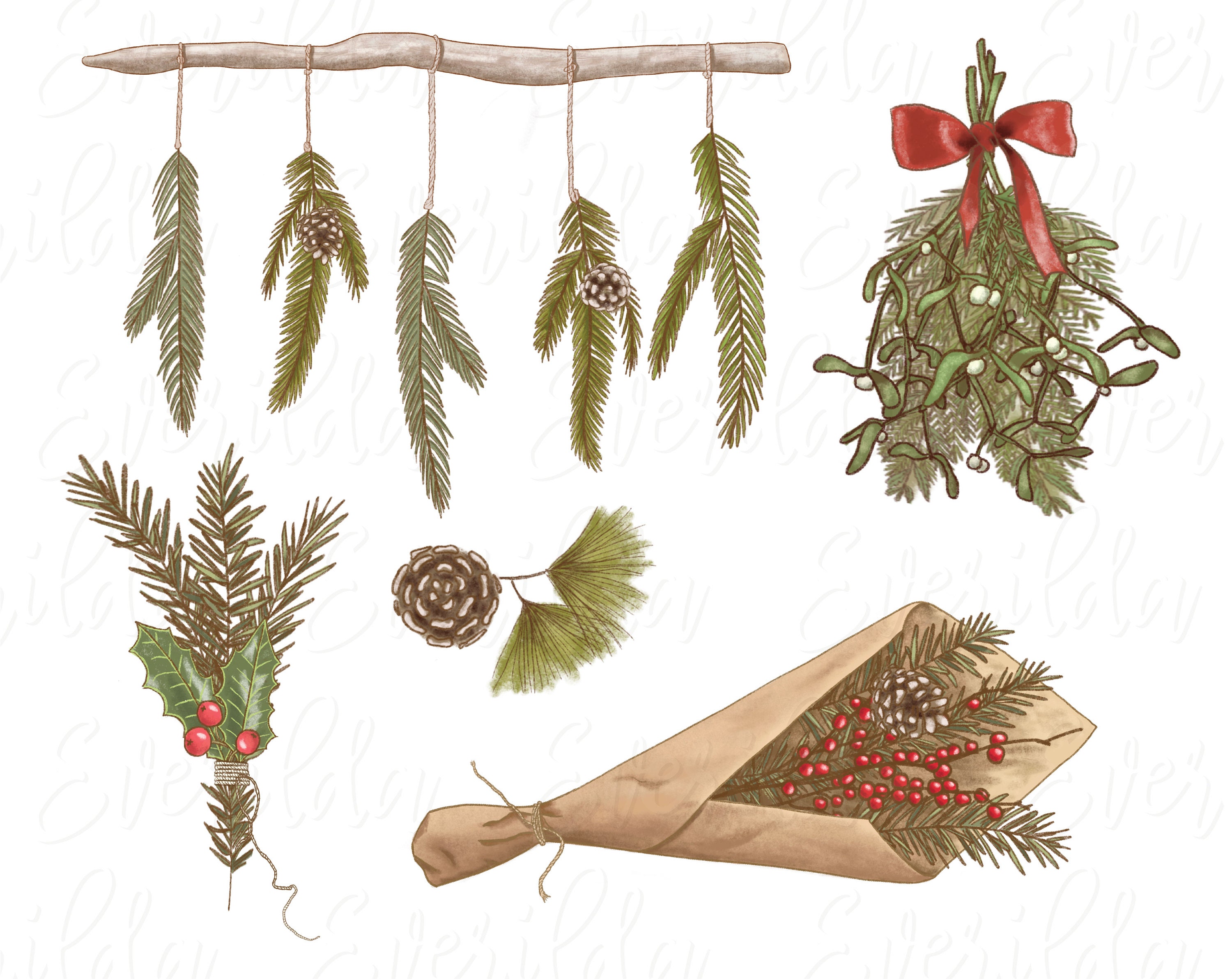 Winter Greenery Clipart, Christmas Botanical Elements, Pinecone ...