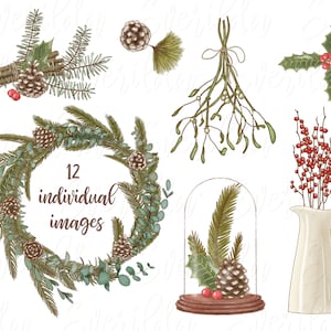 Winter Greenery Clipart, Christmas Botanical Elements, Pinecone ...