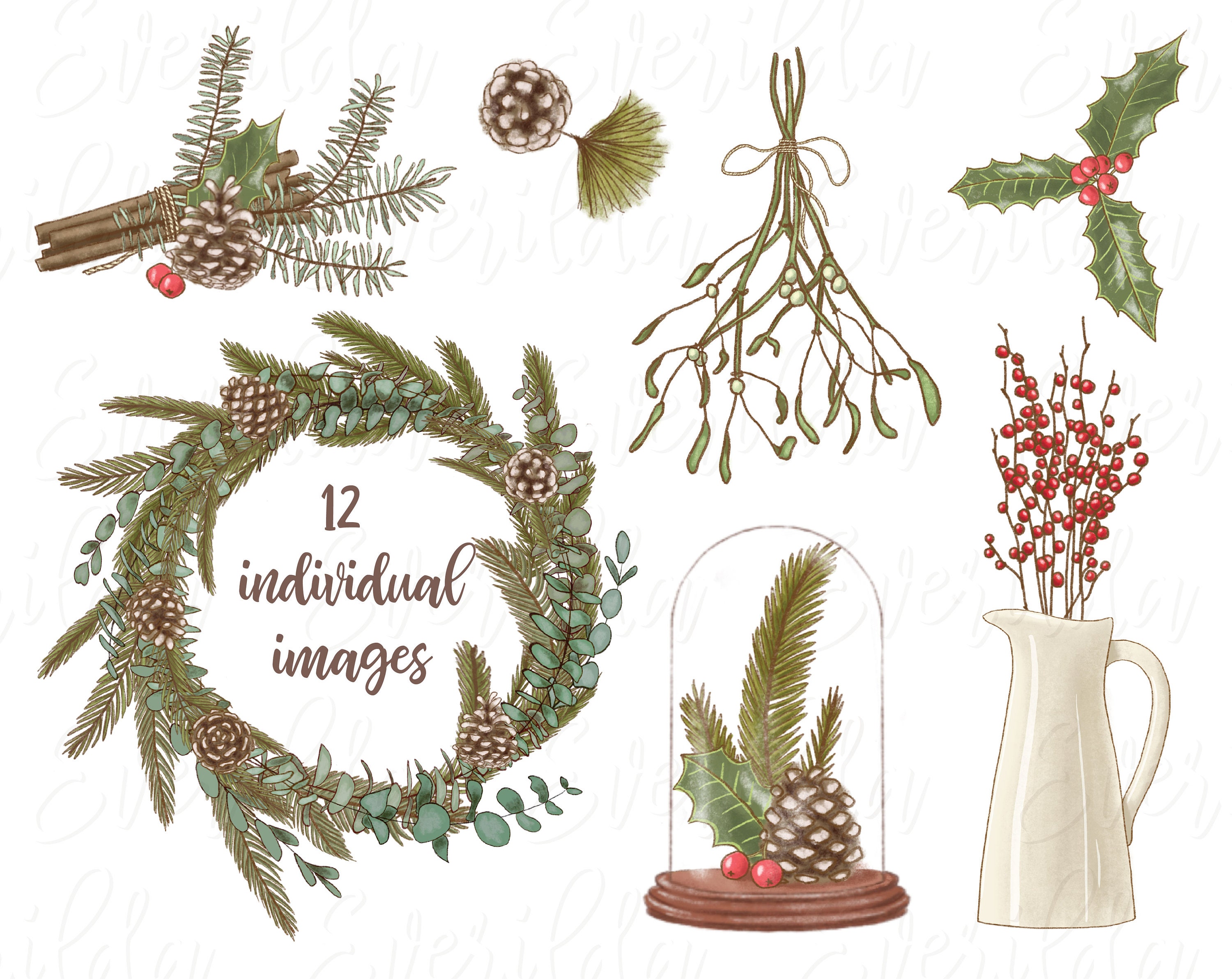 Winter Greenery Clipart, Christmas Botanical Elements, Pinecone ...