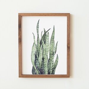 Snake Plant Watercolor Painting, Wall Art, Home Decor, Sansevieria ...