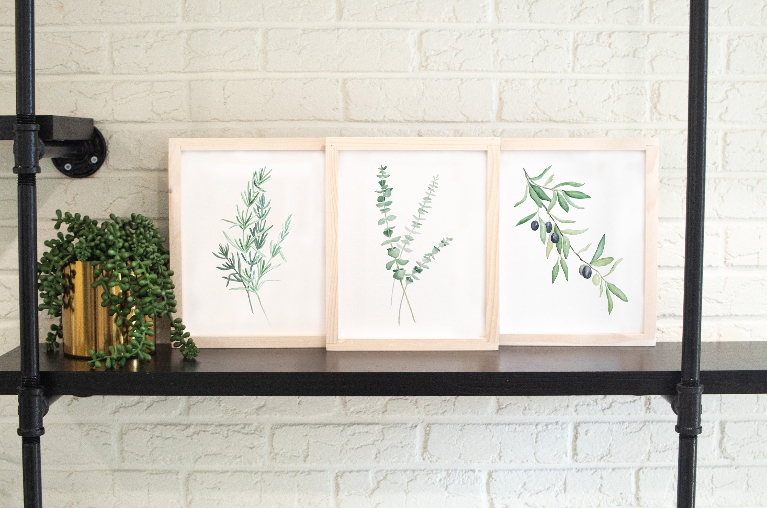 Greenery Branches Set of 3 Watercolor Framed NO GLASS and | Etsy