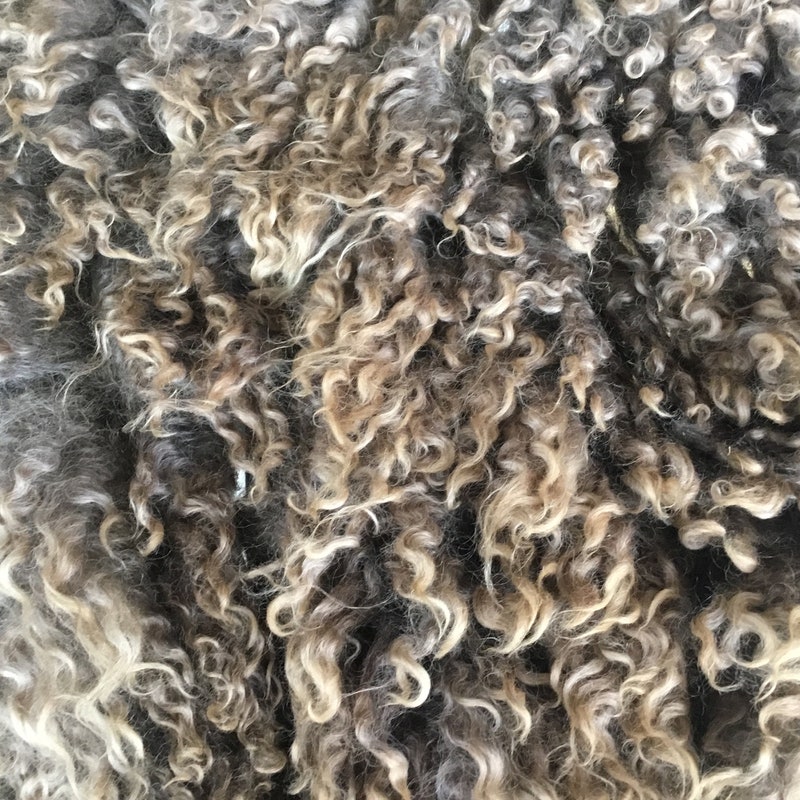 Cormo Fleece - Etsy