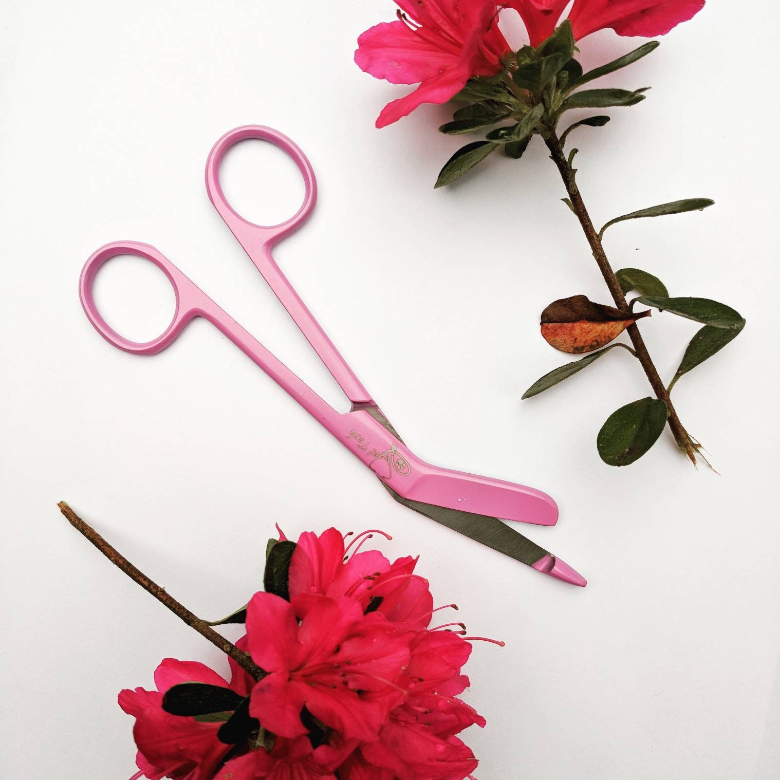Pink or Purple Bandage Scissors for Veterinary Tech Technician Nurse ...