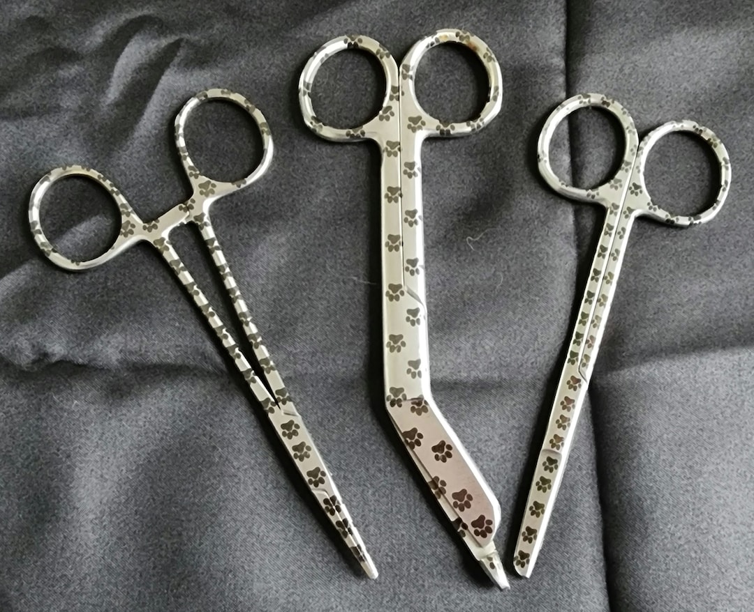 Paw Laser Set of Instruments for Veterinary Technicians Nurse - Etsy