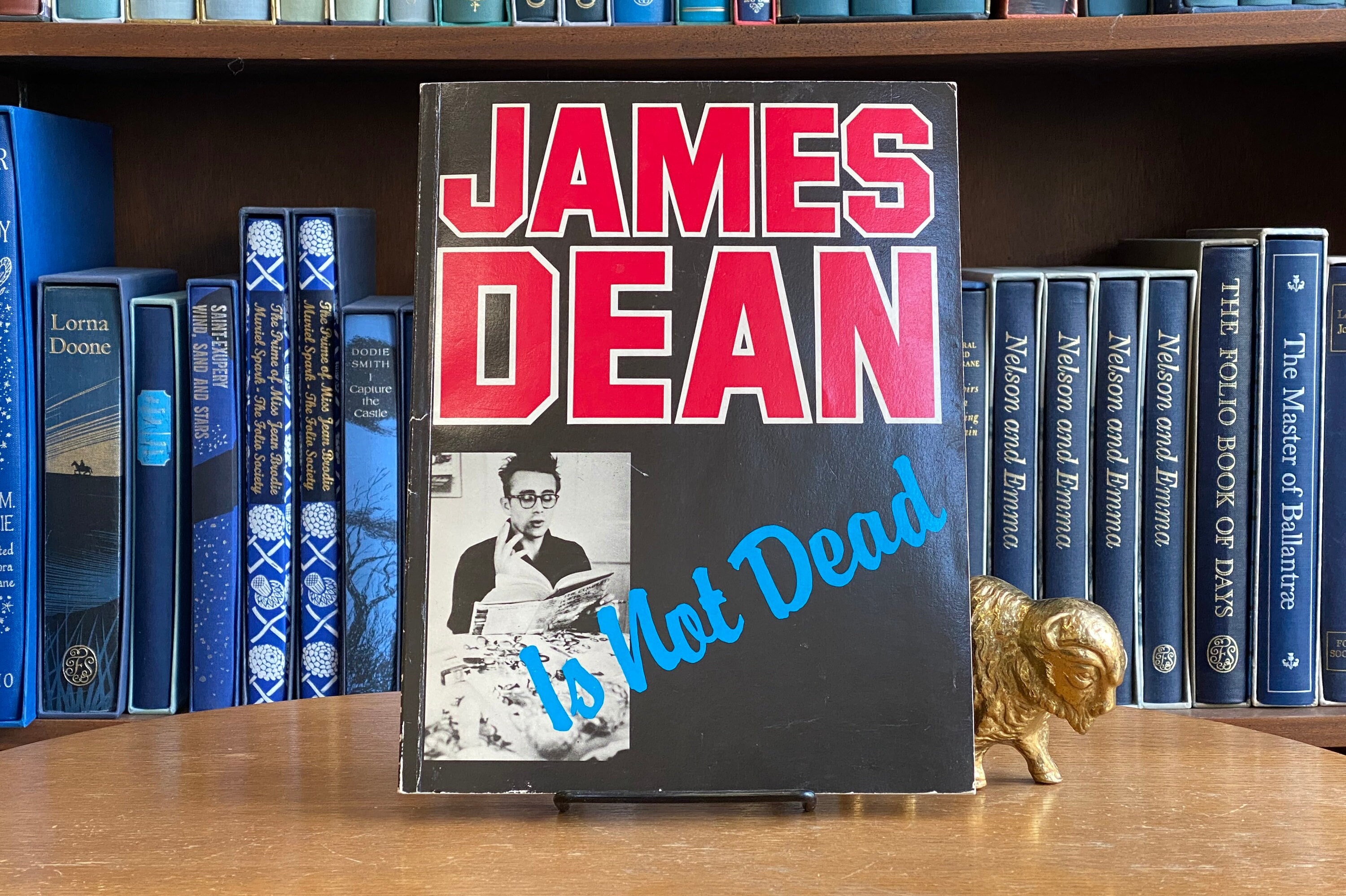 Guernsey Bull James Dean