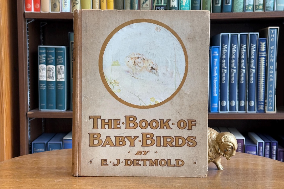1919, the Book of Baby Birds by E.J. Detmold and Florence E. Dugdale ...