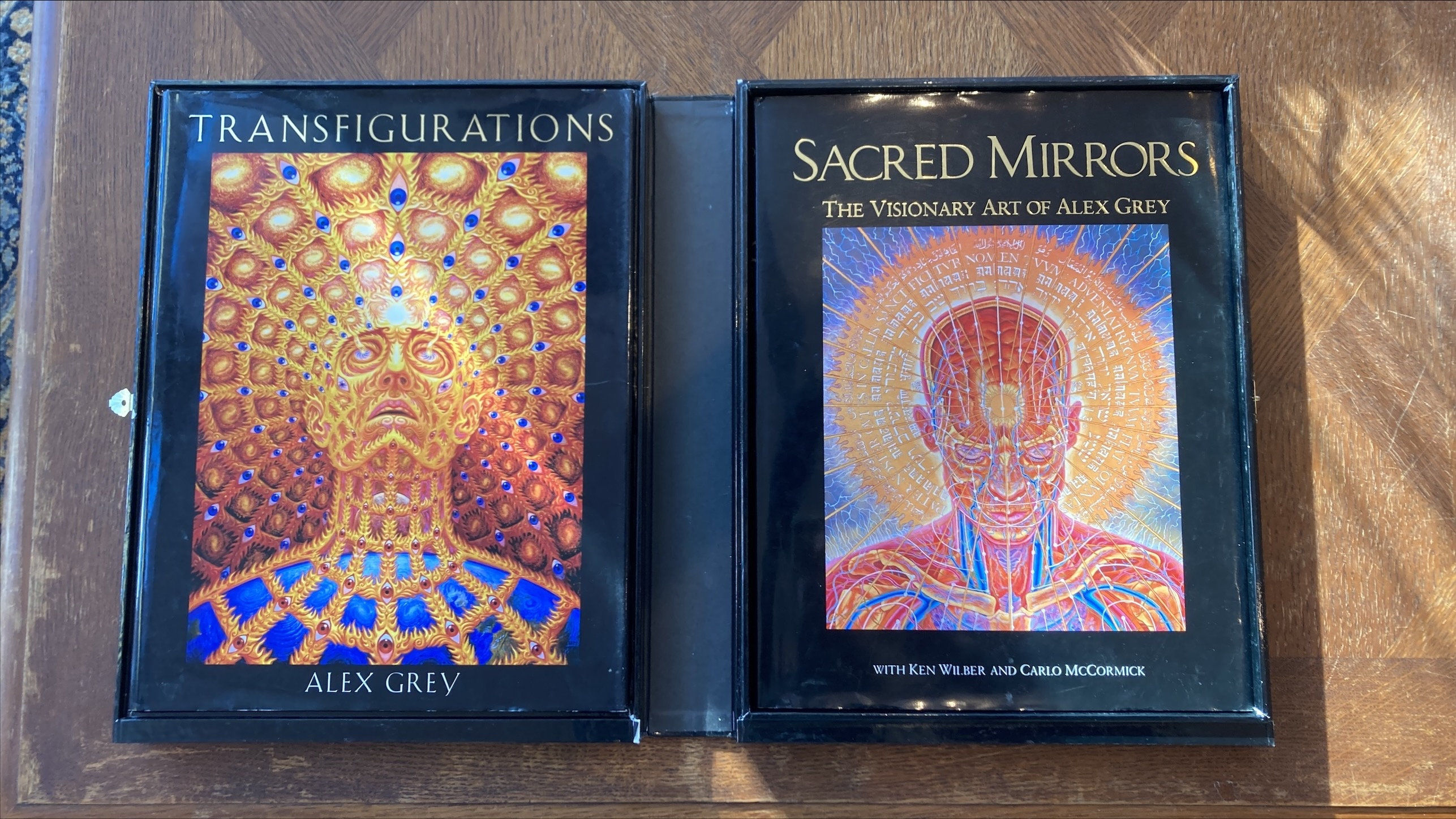 Alex Grey Transfigurations Book