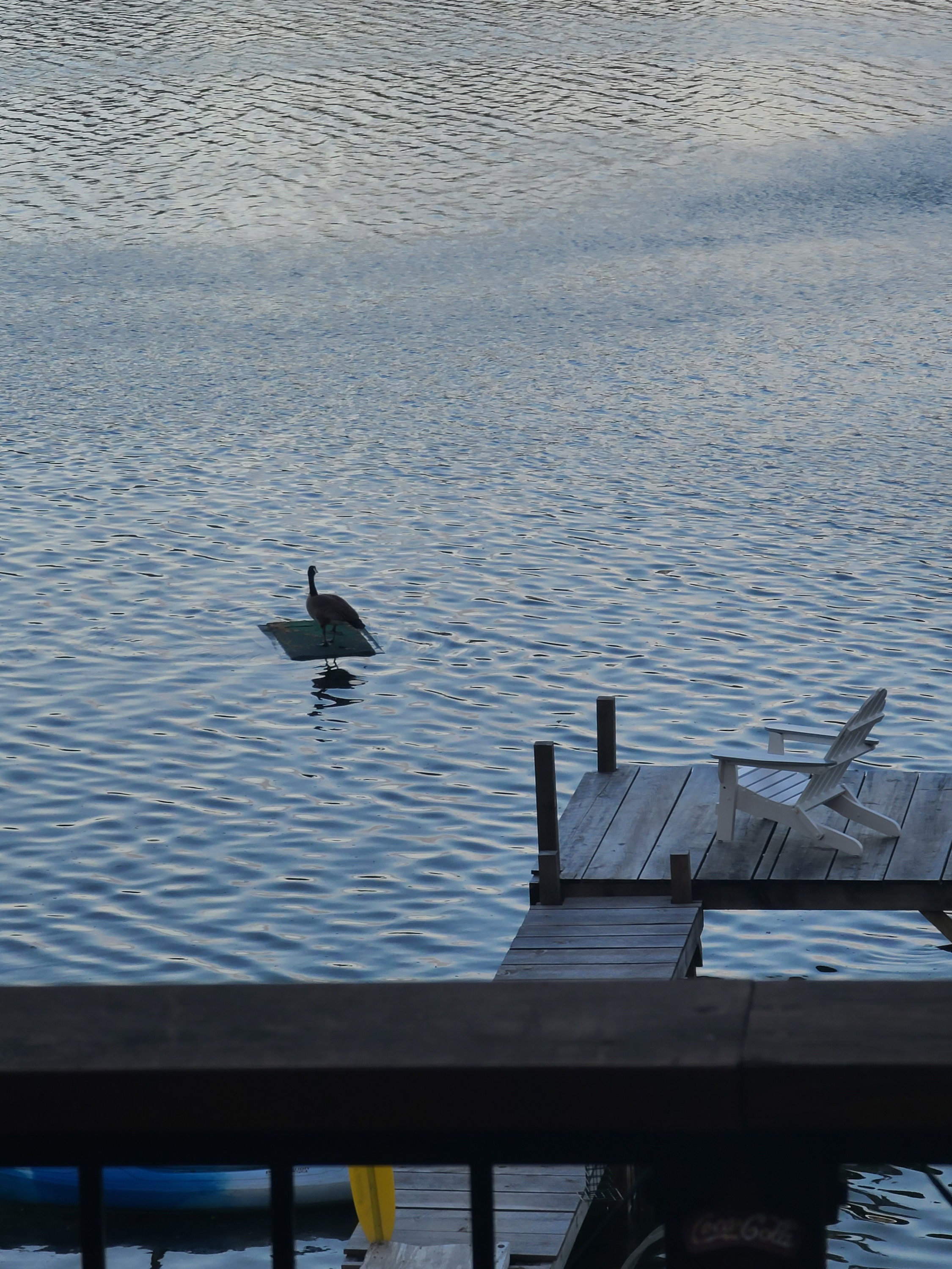 Turtle Raft 2.0 - Etsy