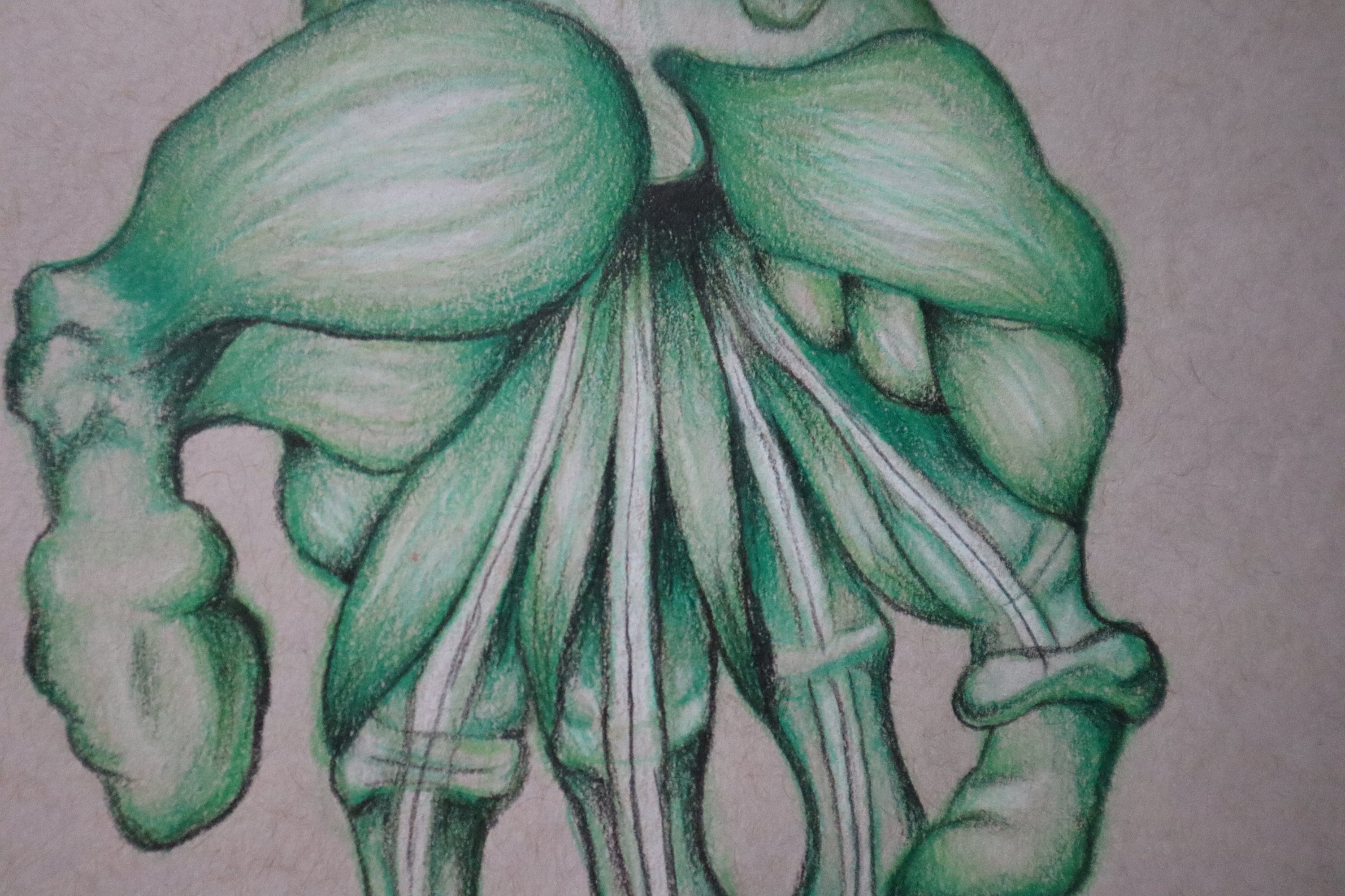 Anatomical Hand - Green (prints) - Etsy