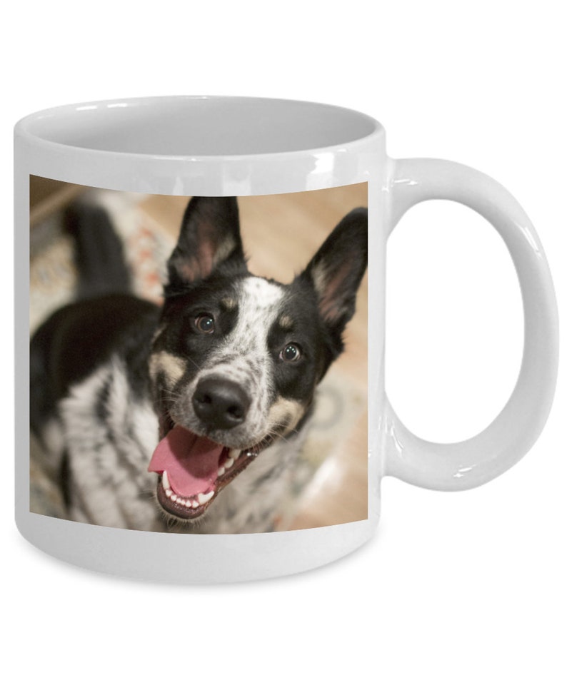 Personalized Dog Photo Mug: Funny 'thanks for Picking up My Poop' Gift ...