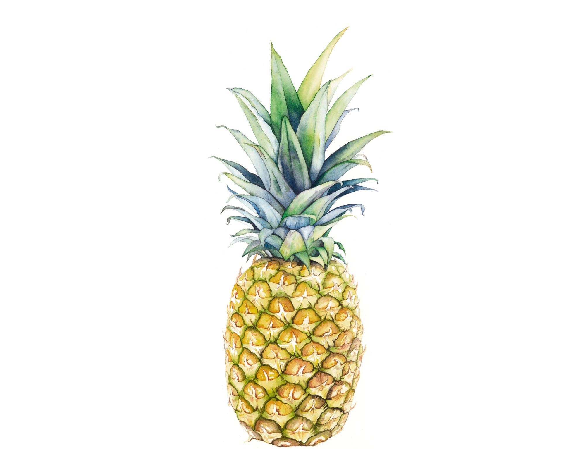 Watercolor Pineapple Wall Art Watercolor Pineapple Print Etsy Canada