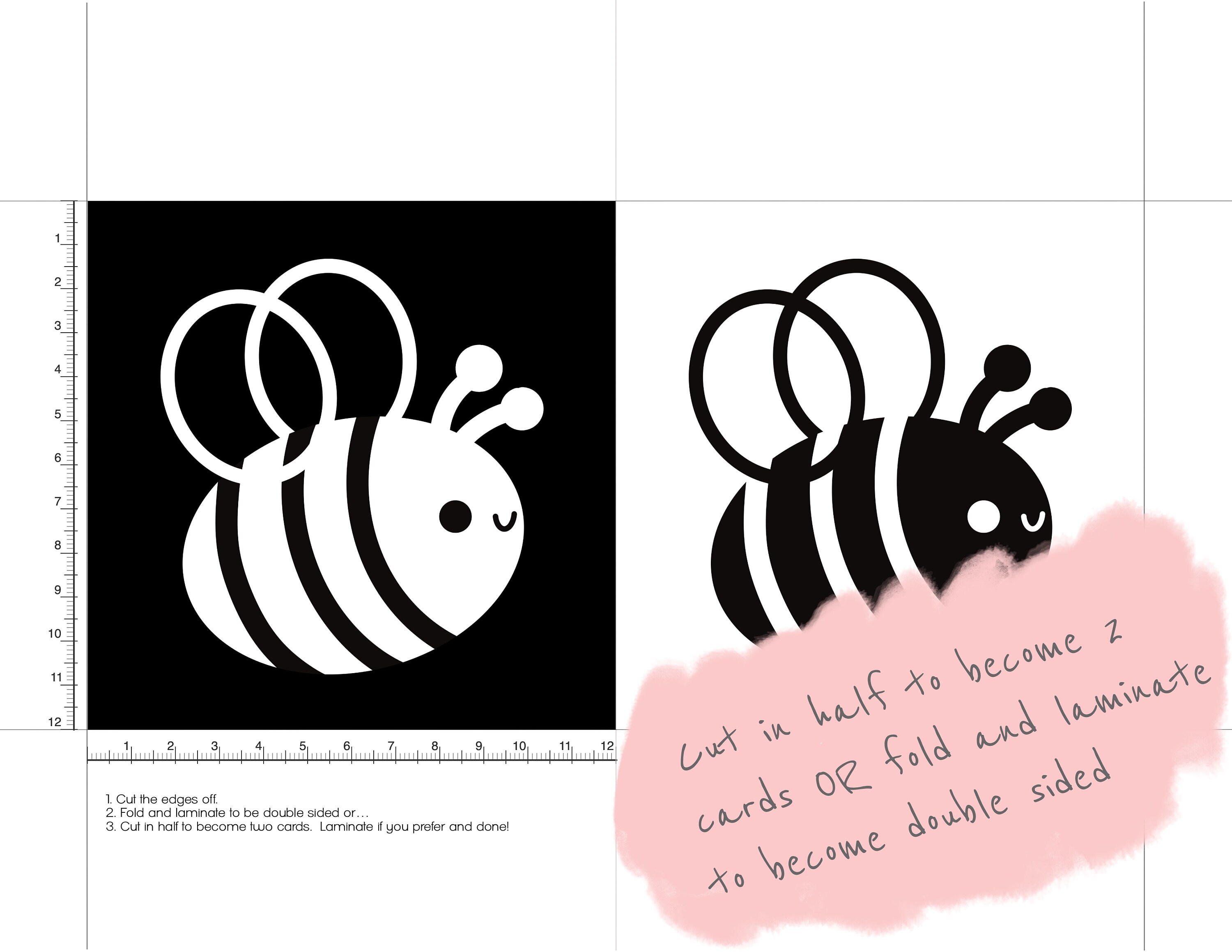 High Contrast Bugs & Insect Black and White Flashcards, Bugs and Insect ...