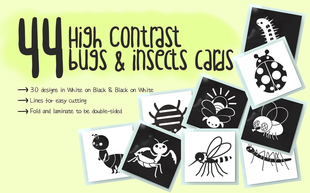 High Contrast Bugs & Insect Black and White Flashcards, Bugs and Insect ...