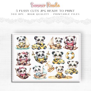 Summer Panda Clipart and Fussy Cuts, 67 Clipart PNG With Summer Theme ...